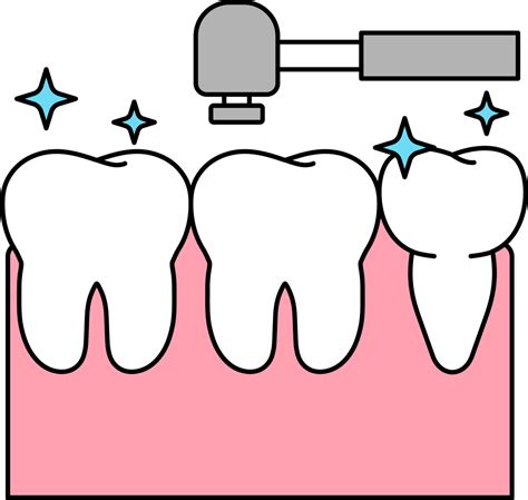 Tooth Enamel Structure Function And Health