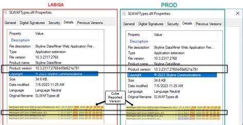 Why Would Cube Reported Webapp Dll Versions Be Mismatched When Compared To File Properties