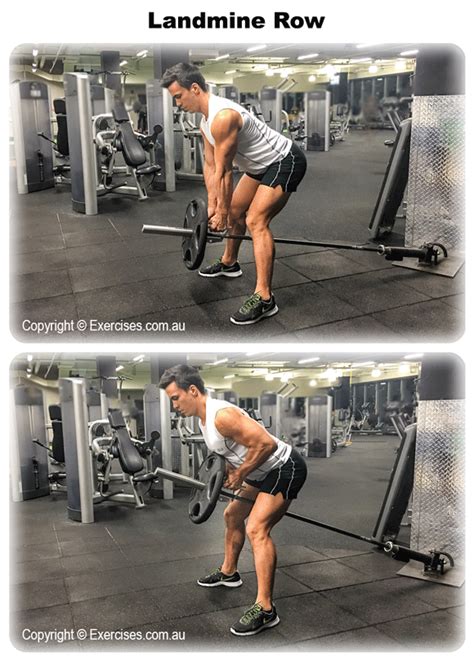 Landmine Rows Quick 227 Min Step By Step Demo Video