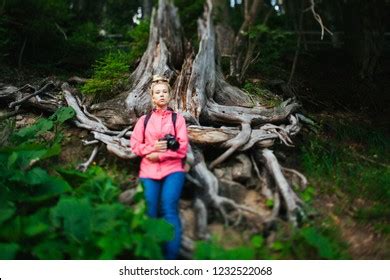 1 Hundred Talking Trees Roots Royalty Free Images Stock Photos Pictures Shutterstock