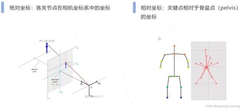人体关键点检测与mmpose基于热力图的关键点检测 Csdn博客