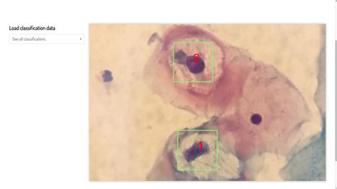 Cell Classification CRIC Database Documentation