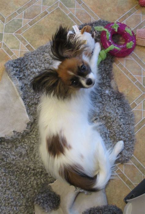 Winnie Sex M Nader Riinas