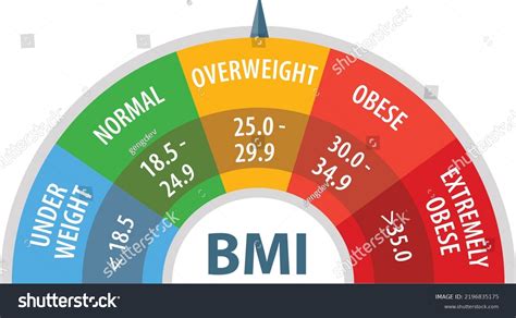 Body Mass Index Calculator Collections Stock Vector Royalty Free
