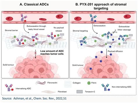 Pyxis Oncology Portfolio