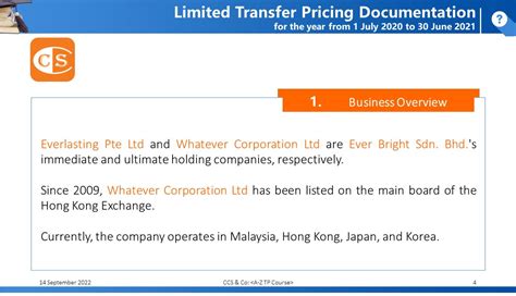 Tp Faqs 5 Guide On How To Prepare A Limited Transfer Pricing Document