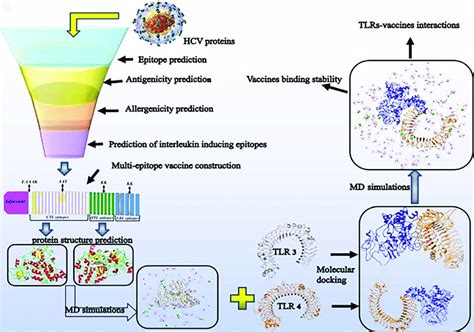 Systemic Flowchart Of The Multi Epitope Subunit Vaccines Build Against
