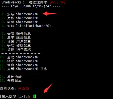 自建vps从入门到入狱（停止使用免费 高价的不稳定加速器） — 新晋阿超🙈加密世界探险者⭐