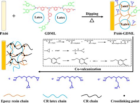 Nylon 66 Fibers Coated With Environmentally Friendly Dopamine‐modified Adhesives And Their