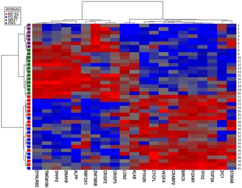Cluster Analysis Heatmap Cluster Analysis Heatmap Of The Expression Download Scientific