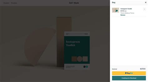 Ecommerce Webflow