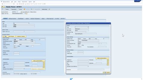 Sap Business Partner Transliteration Of Master Data