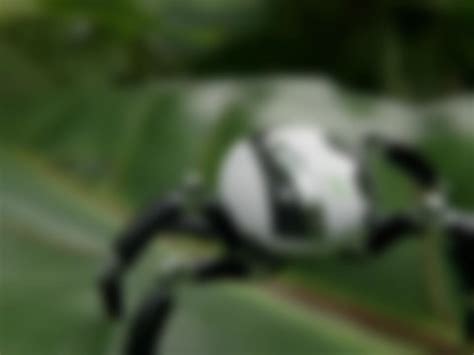 Dhrumil T On Linkedin 3dart 3dartist 3dartwork 3danimation Animation Techcommunity