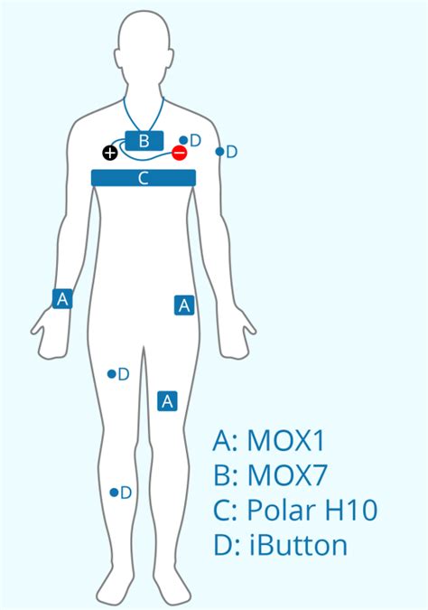 Improving Energy Expenditure Estimation With Wearables Measuring Physiological Signals