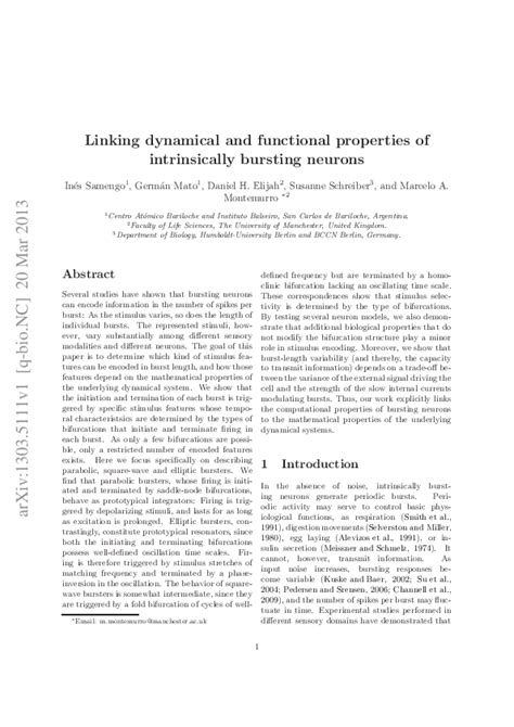 Pdf Linking Dynamical And Functional Properties Of Intrinsically Bursting Neurons