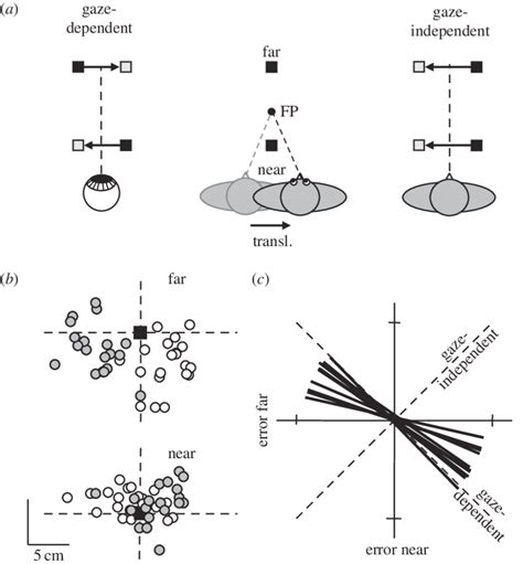 Gaze Dependent Updating During Translational Body Motion A If Download Scientific Diagram