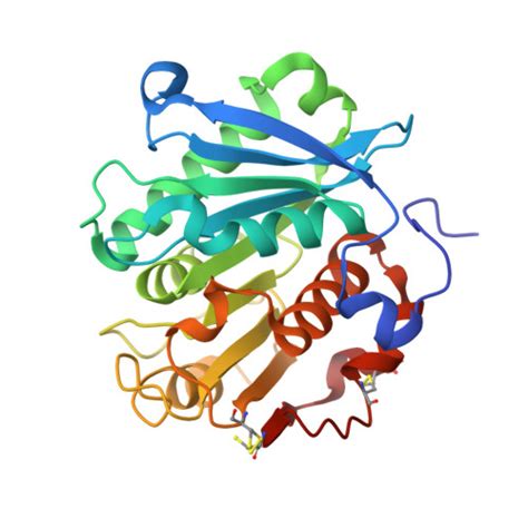 Rcsb Pdb 8ota High Resolution Crystal Structure Of A Leaf Branch
