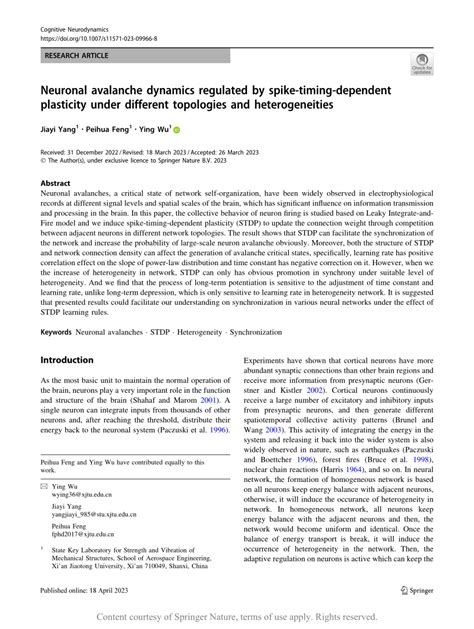 Neuronal Avalanche Dynamics Regulated By Spike Timing Dependent Plasticity Under Different