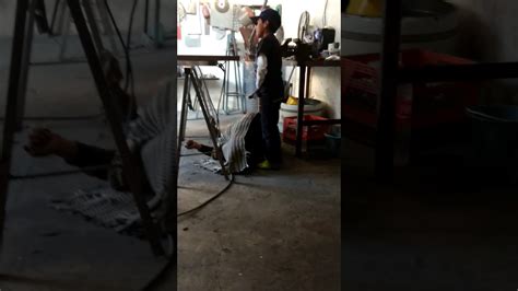 Chamaco Miado Youtube