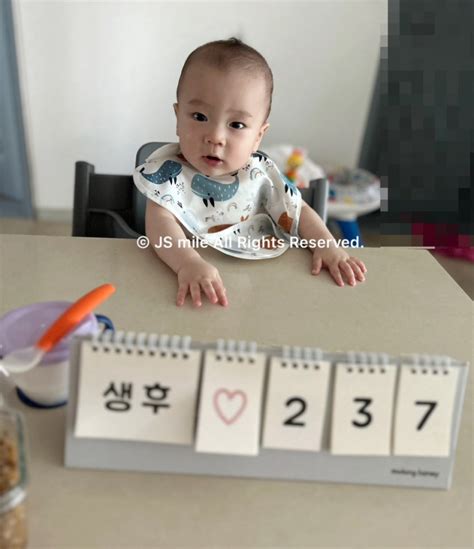 풀이 육아일기 237일 아기수유량 및 발달기록 이유식 표고버섯 첫 도전 머리채 잡고 머리카락 뽑기 좋아함 공으로 얼굴 밀거나 때리고 재밌어함 엄마 잘 부름