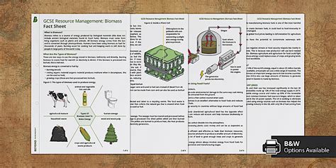 Gcse Resource Management Biomass Fact Sheet Twinkl