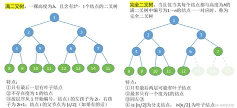 数据结构 解锁数据结构中树与二叉树的奥秘一