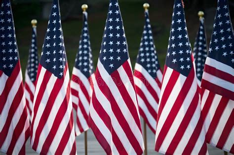 Patriotic American Flags Standing Tall Symbolizing Solemnity