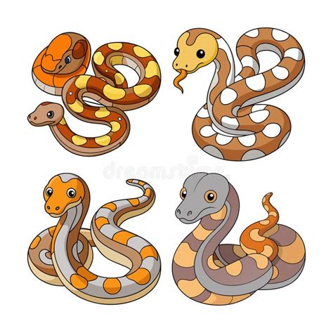 Majestic Reticulated Python Coloring Design Stock Vector Illustration