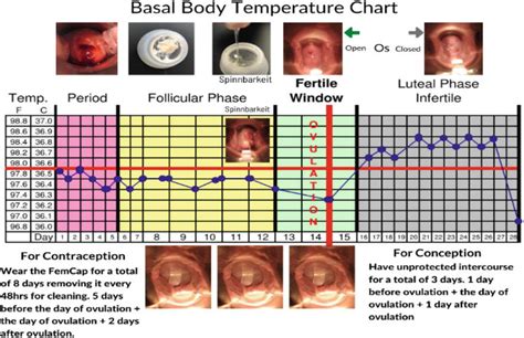 Advances In Hormone Free Contraceptive Devices IntechOpen