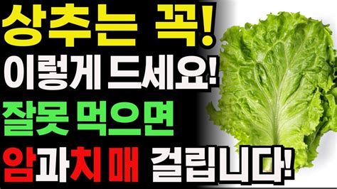 상추와 함께 먹으면 보약이 되는 세가지 음식과 상추와 함께 먹으면 절대 안되는 세가지 음식 총정리 피부와 눈에 좋은 상