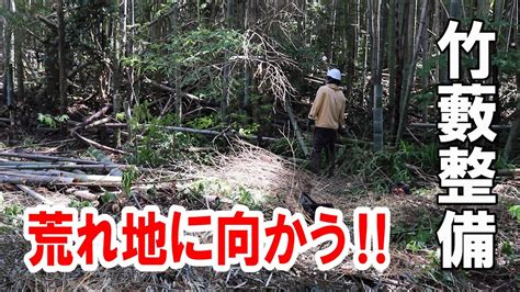 何十年も放置していた枯れ竹孟宗竹を片付けた竹藪整備 YouTube