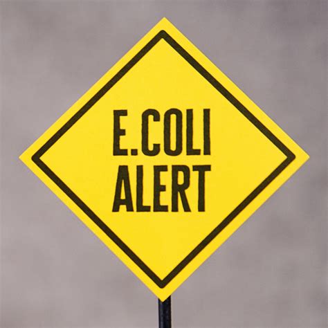 Tips To Protect Your Food From E Coli And Infections Milerd