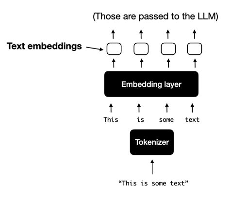 Understanding Multimodal Llms
