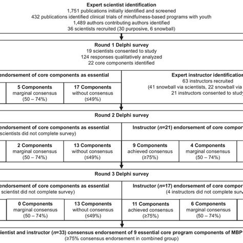 Flow Diagram Of Identifying Expert Consensus Of Essential Core