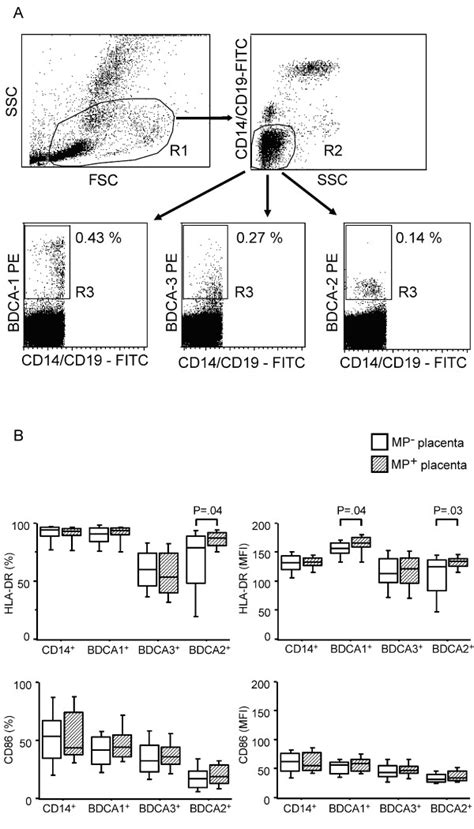 A Flow Cytometric Identification Of Mdc Bdca 1 Or Bdca 3 And Pdc Download Scientific