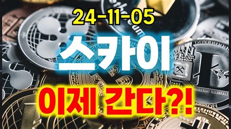 스카이프로토콜 불장 시작 Youtube