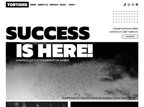 Tortoise Free Blogging Wordpress Theme Download