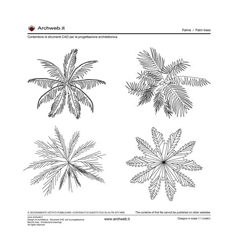 Trees Palm Trees Shrubs Front View Elevation And Top View