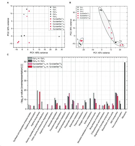 principal component analysis pca and over representation analysis