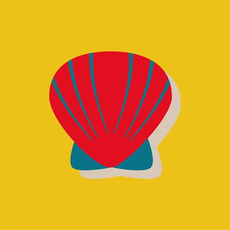 가리비 껍질 스케치 스타일 현실적인 벡터 Ai Eps Uidownload