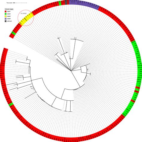 Application Of A Core Genome Sequence Typing Cgmlst Pipeline For