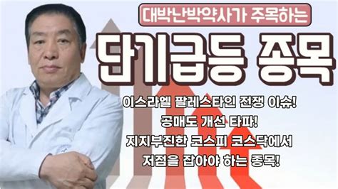 공매도 개선 저점에서 담아봐야할 핵심주 이스라엘팔레스타인 중동 전쟁 이슈저점 공략삼성전자에코프로에코프로비엠텔레칩스포스코dx비츠로테크매일경제대박난박