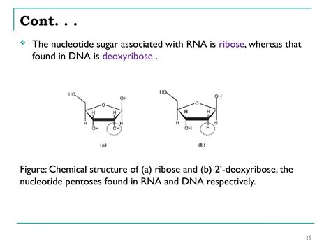 2 Introduction To Genetic Engineering Rdna Technology Pptx