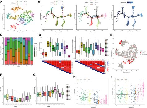 Validation Using An Independent Single‐cell Gbm Data A T‐sne Plot Of