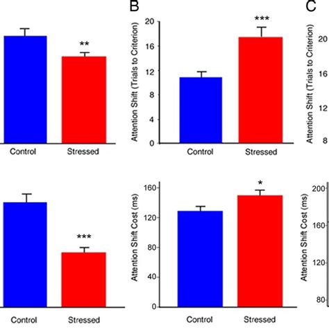 Stress Effects On Human Pfc Function Bottom Are Consistent With Those