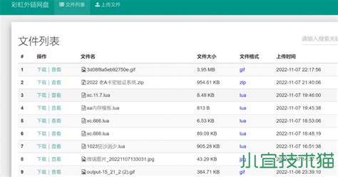 彩虹外链网盘v53程序源码 网站源码 小宜技术猫