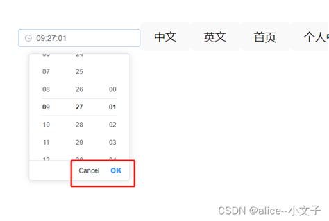 Vue项目中实现国际化el Config Provider Csdn博客