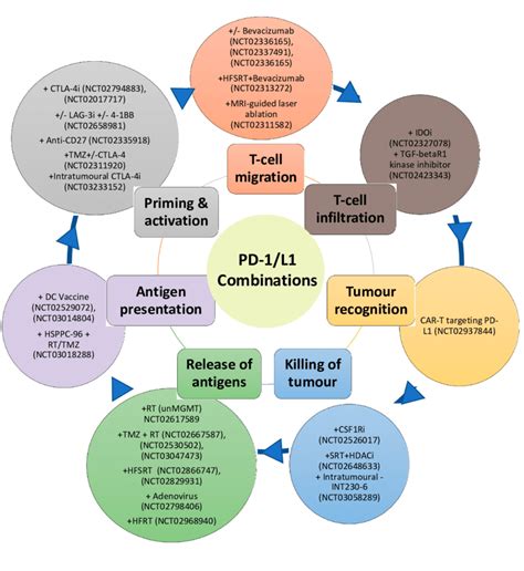 Schematic Of Combination Therapies With Pd 1l1 Inhibitors Outer