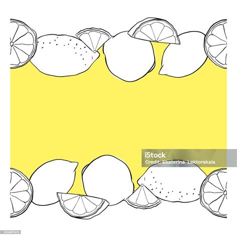 레몬 컷 슬라이스 및 전체 원활한 수평 테두리 프레임 흑인과 백인 색깔의 감귤류 레몬 라인 그래픽 잉크 벡터 아트 음식 디자인 레시피 요리책 패키지 메뉴 음식 광고를 위한