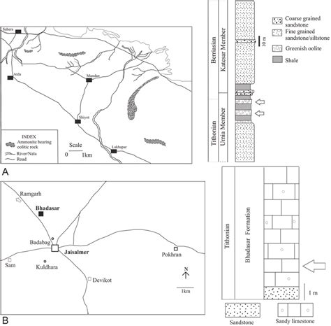 Fossil Localities And Fossil Occurrences In Stratigraphic Sections In